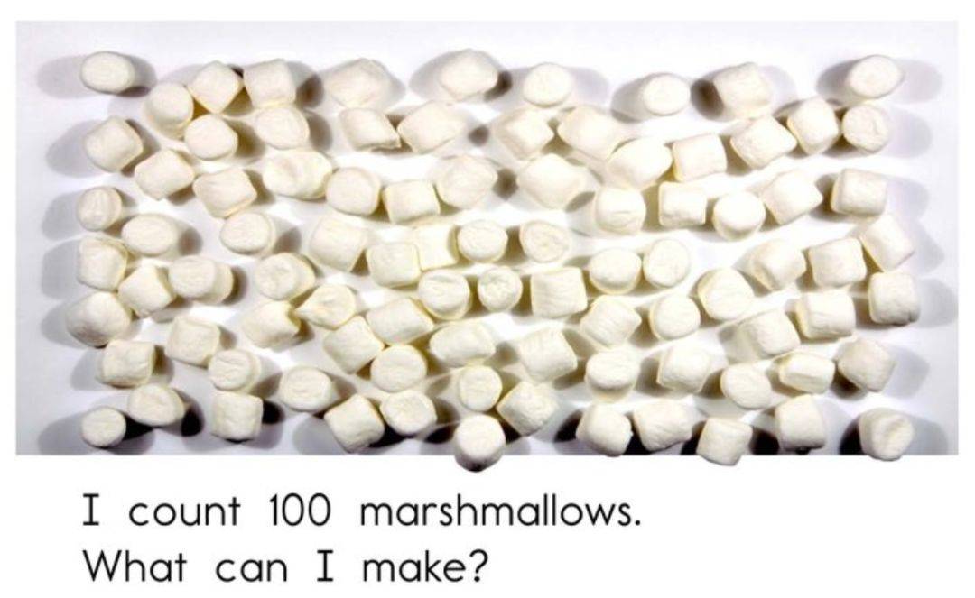 伴读 | Raz D：I Count 100 Things_can