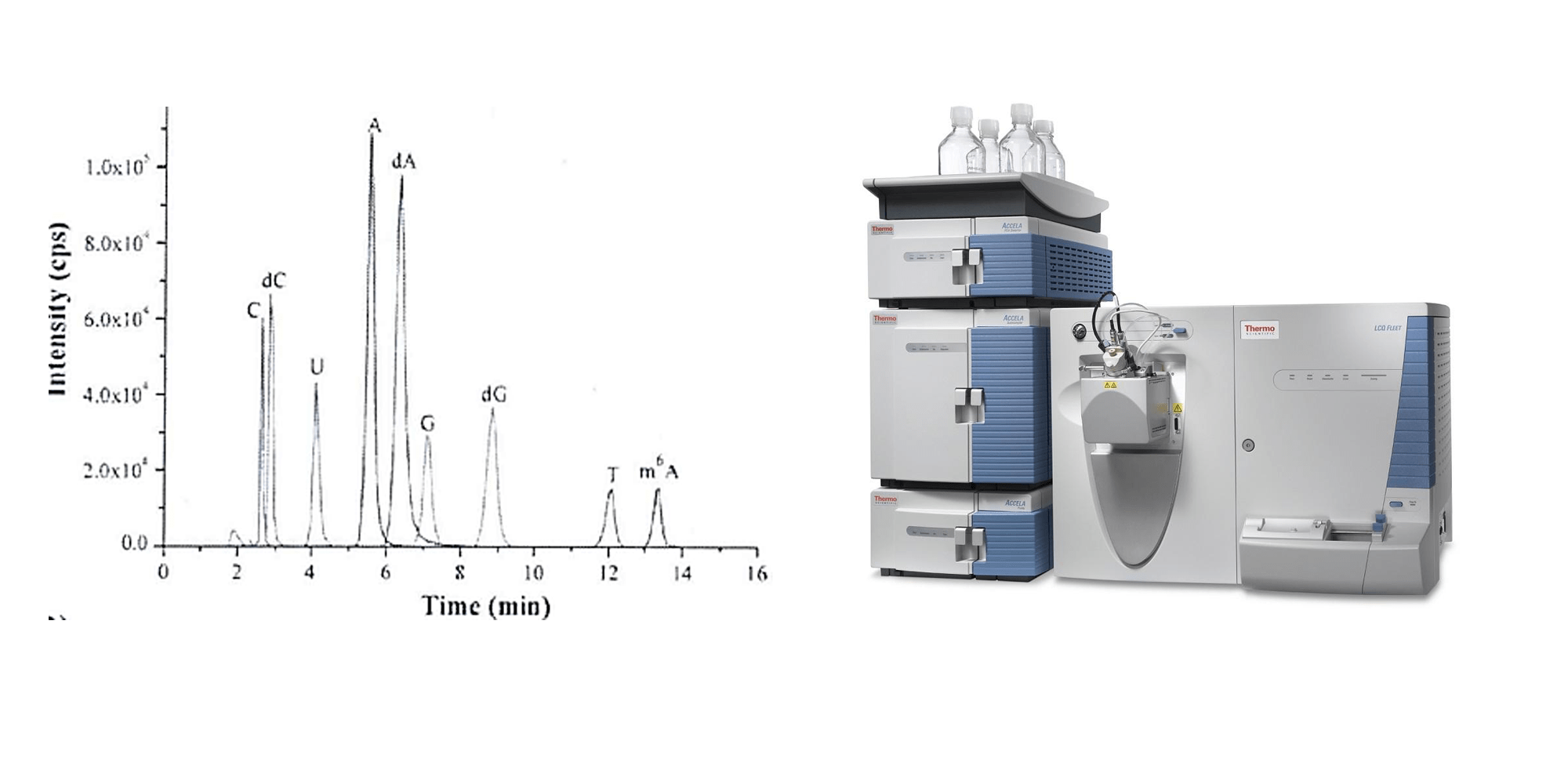 m6A（RNA甲基化）检测方法，你选对了吗？_meRIP-seq