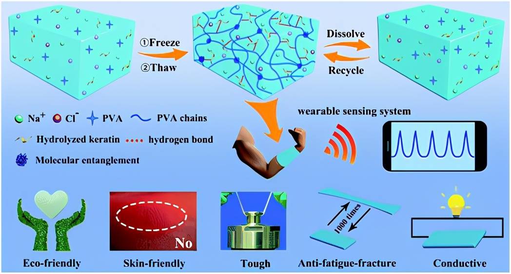 长春工业大学高光辉《JMCA》角蛋白水解，皮肤匹配，可回收PVA凝胶应变传感器_on
