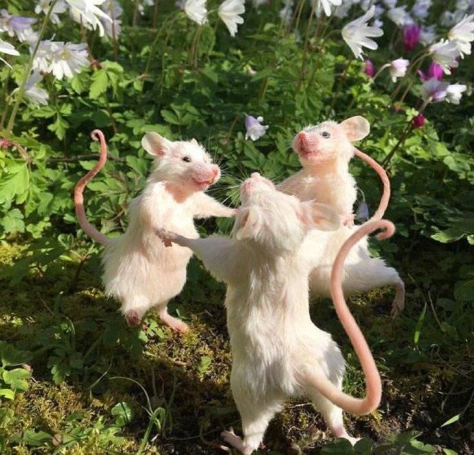 幽默笑话：虽然我普通话不标准，但你看看我这一身的装备啊！-搜狐大视野-搜狐新闻