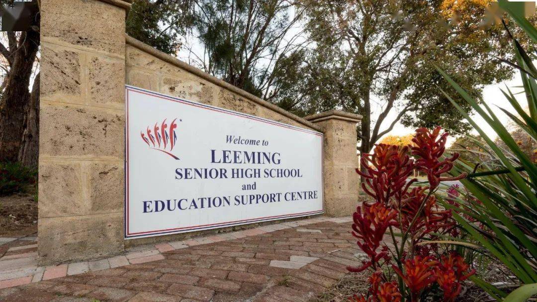科普篇：珀斯顶级公立中学排行榜！_School