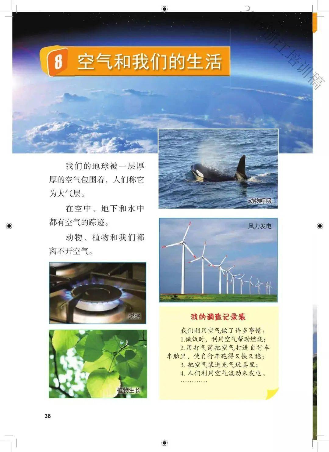 【科学】教科版小学三年级科学上册电子教材 版权