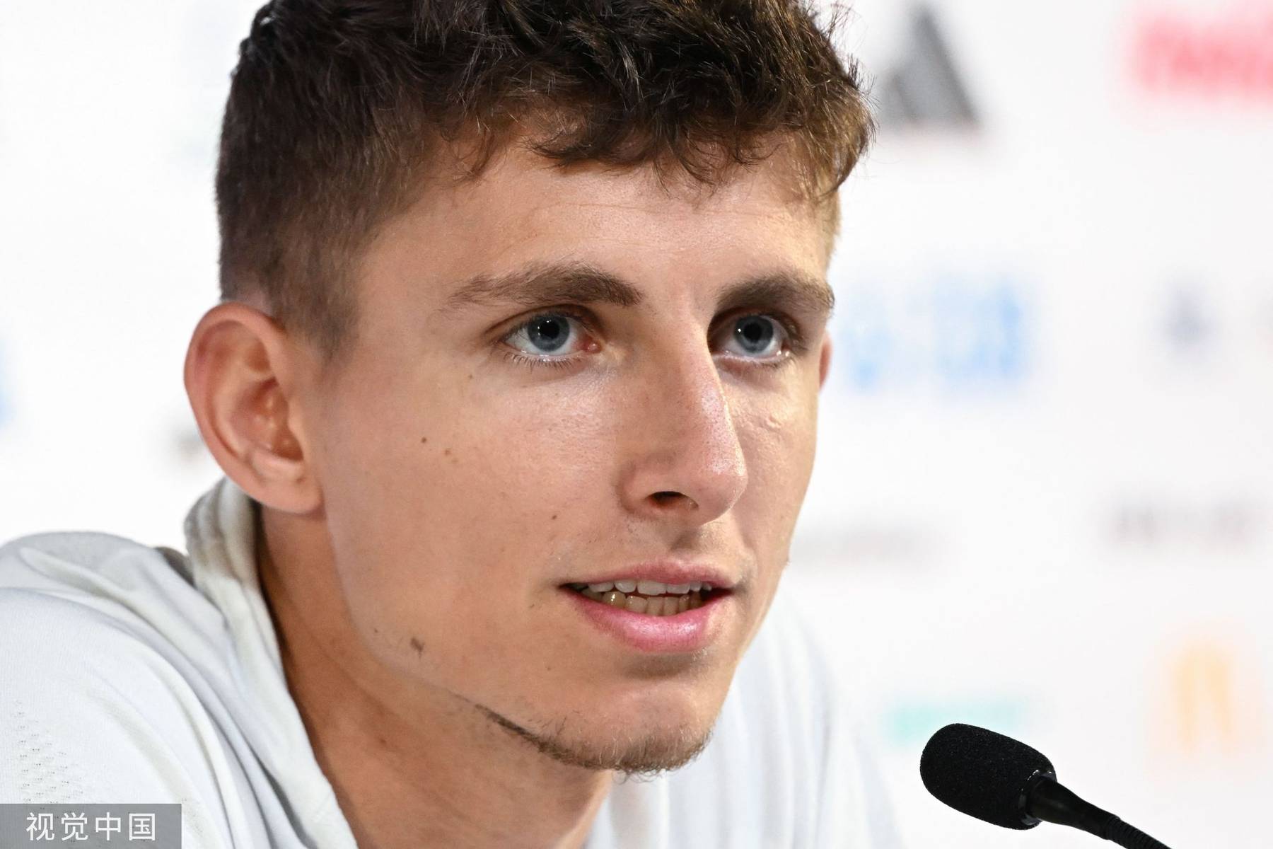 高清图：世界杯D组第3轮前瞻 丹麦队召开发布会-搜狐大视野-搜狐新闻