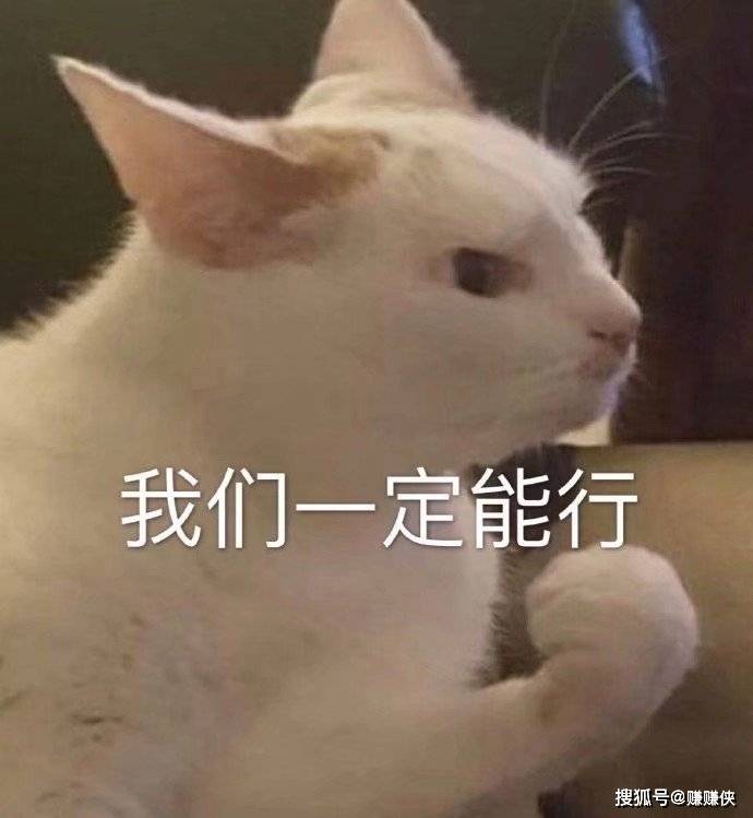 热门表情包图片：你吼那么大声干嘛啦