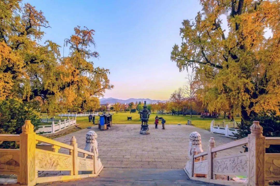 天平山红枫-搜狐大视野-搜狐新闻