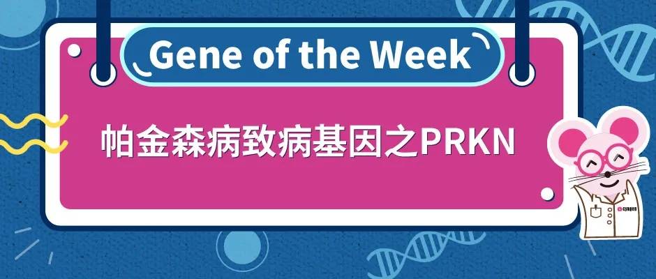 帕金森病致病基因之PRKN_Parkin