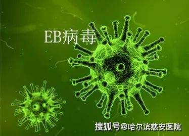 【科普】EB病毒_抗原