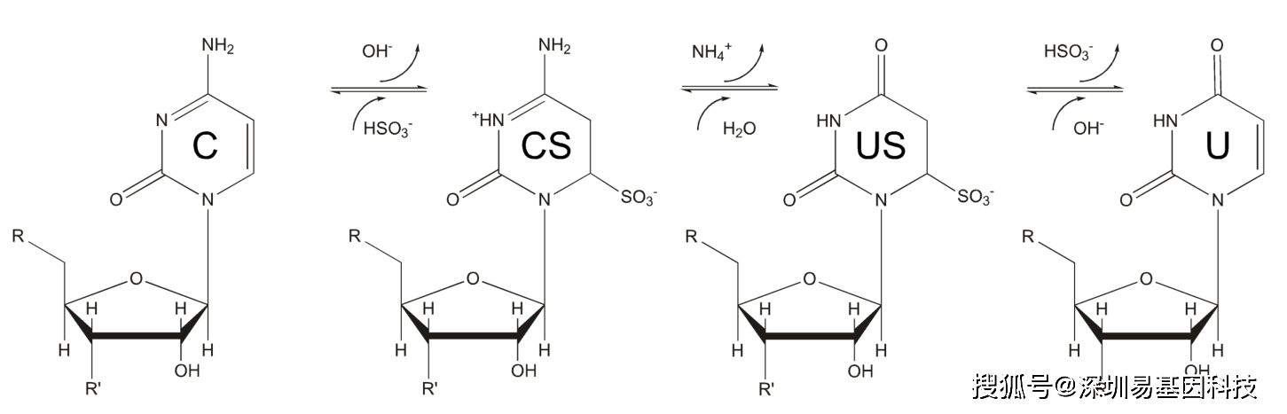 m5C-RNA—掀起表观转录组学研究新浪潮_调控