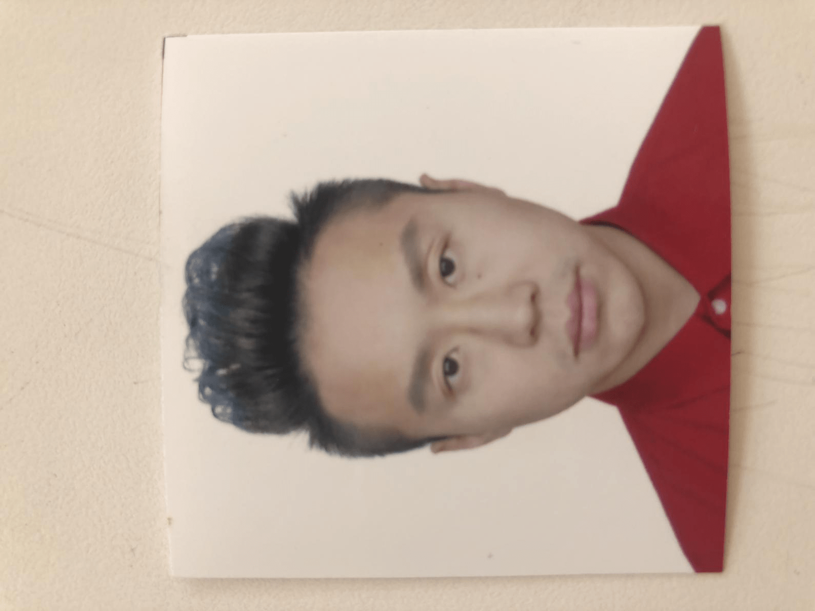 震撼千年西方美术史_戴帆