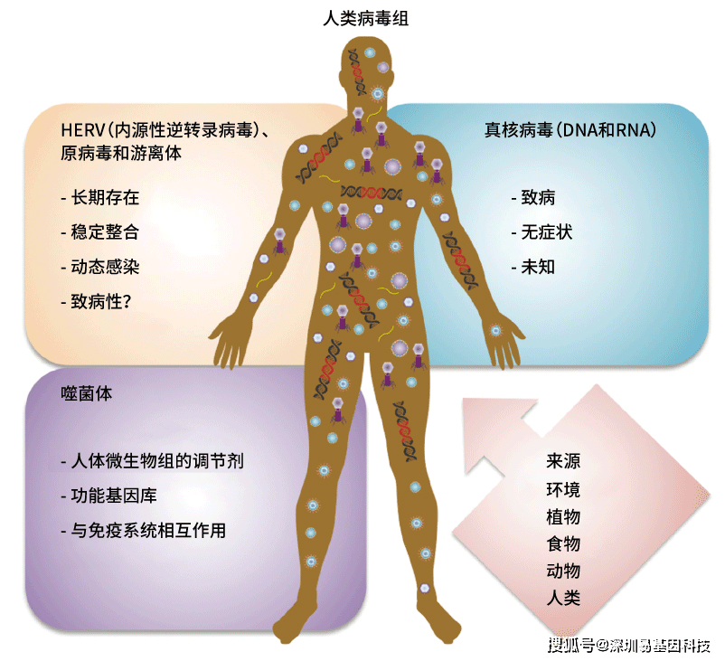 宏病毒组的研究背景微生物 8206