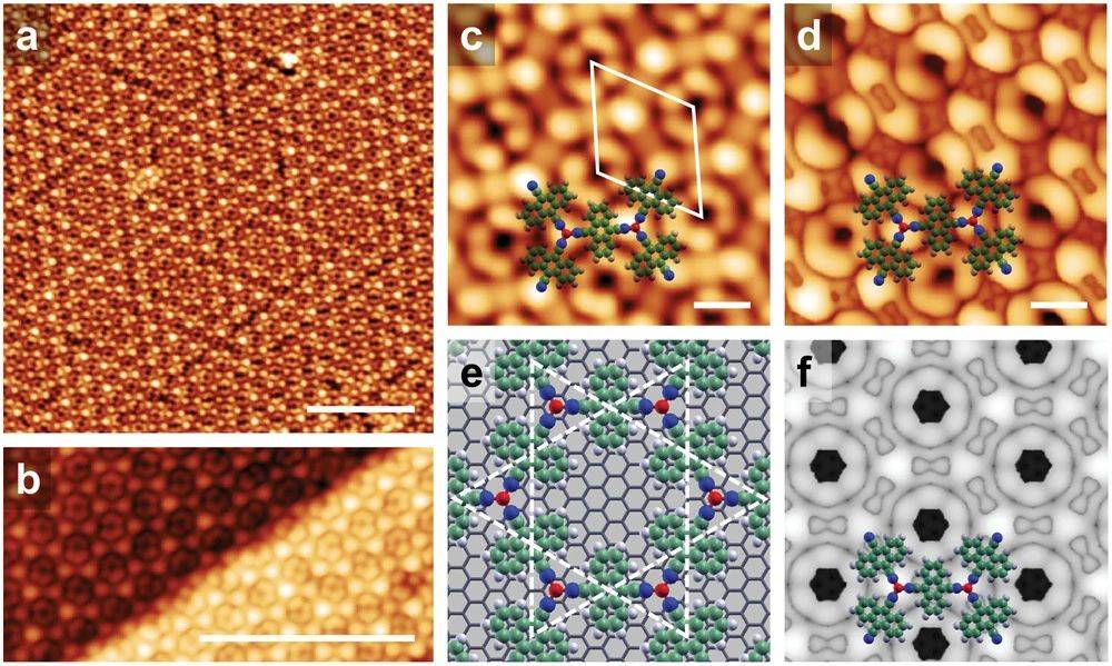 Peter Liljeroth等人AFM: 新型单层二维MOF！_结构