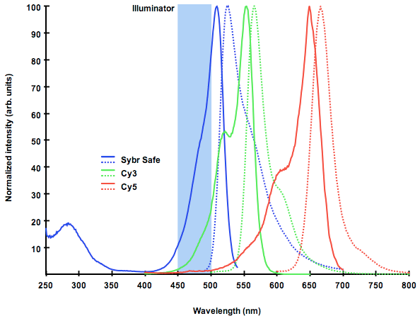 水溶性/脂溶性/Cy3/Cy3.5/Cy5 NHS ester 染料在活体成像中的应用_荧光