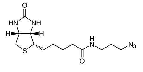 Biotin-azide，生物素-叠氮，908007-17-0_avidin