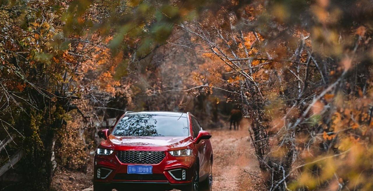 趣味科技加持智能新体验，WEY VV5致力打造豪华SUV_搜狐汽车_搜狐网