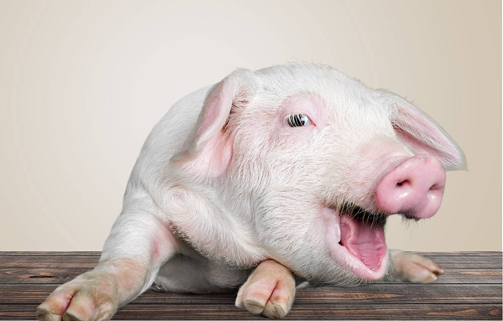 标普：下调温氏股份发行人信用评级至“BBB-”，展望“稳定”_生猪