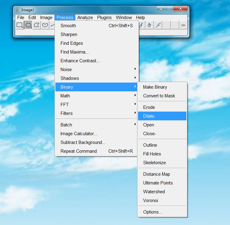 Momocs：用R进行表型变化分析_coo