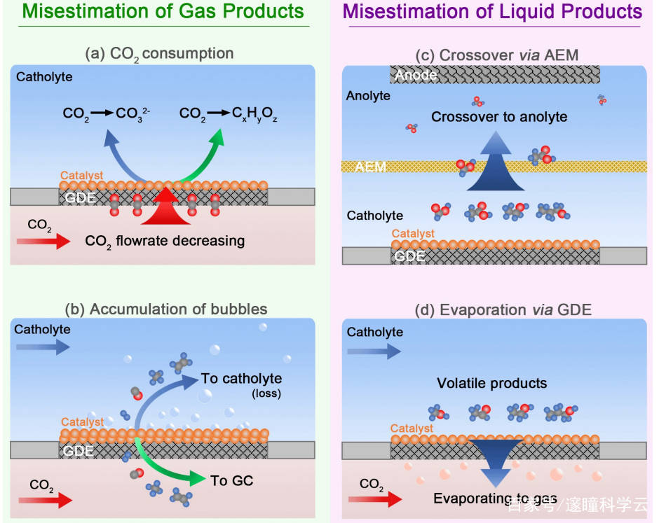 高敏锐最新EES：Flow cell中 CO2 电还原产物的严格评估_流通池