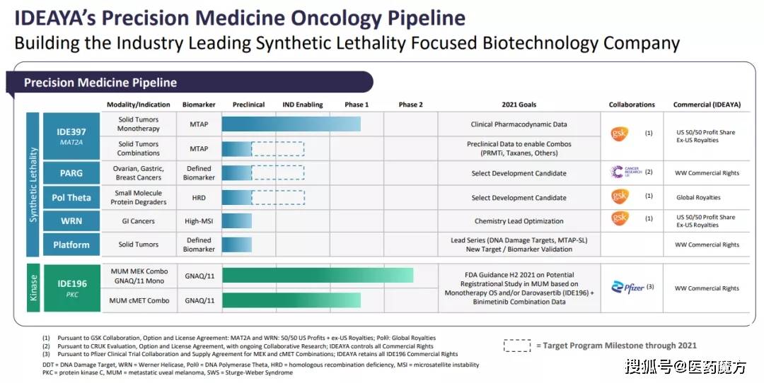 实力靶点Polθ：潜力迸发，巨头入局_同源