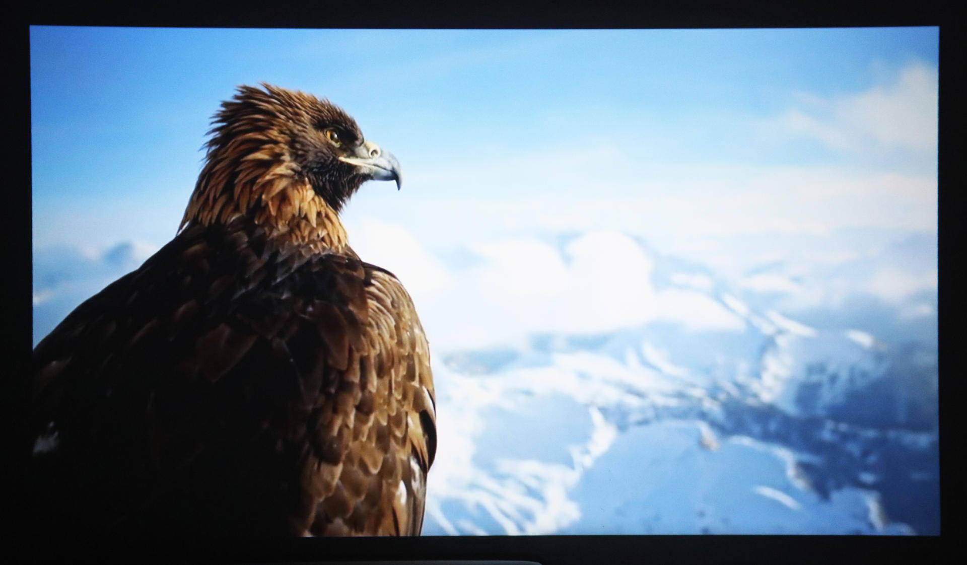 泰捷首款投影来袭，WEBOX T1画质媲美3000元投影_视频