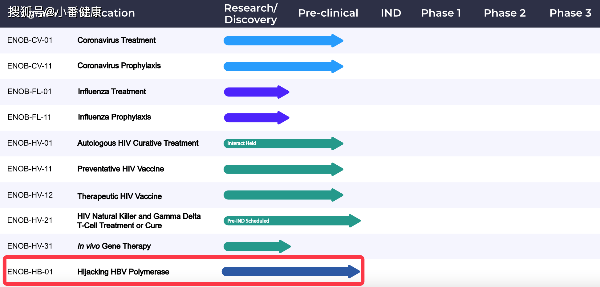 在研乙肝新药ENOB-HB-01，收到FDA书面回函，鼓励继续开发_药物