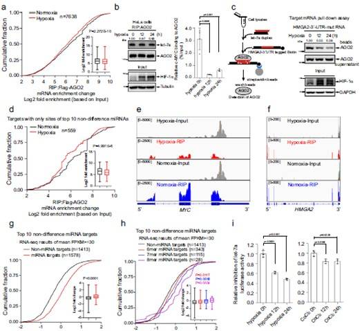 RIP-seq项目文章|nature子刊揭示低氧诱导AGO2线性泛素化调控肿瘤发生发展机制_研究