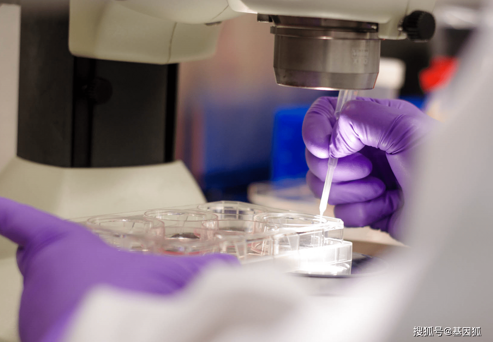 经验分享：细胞库之PCB、MCB和WCB_工作