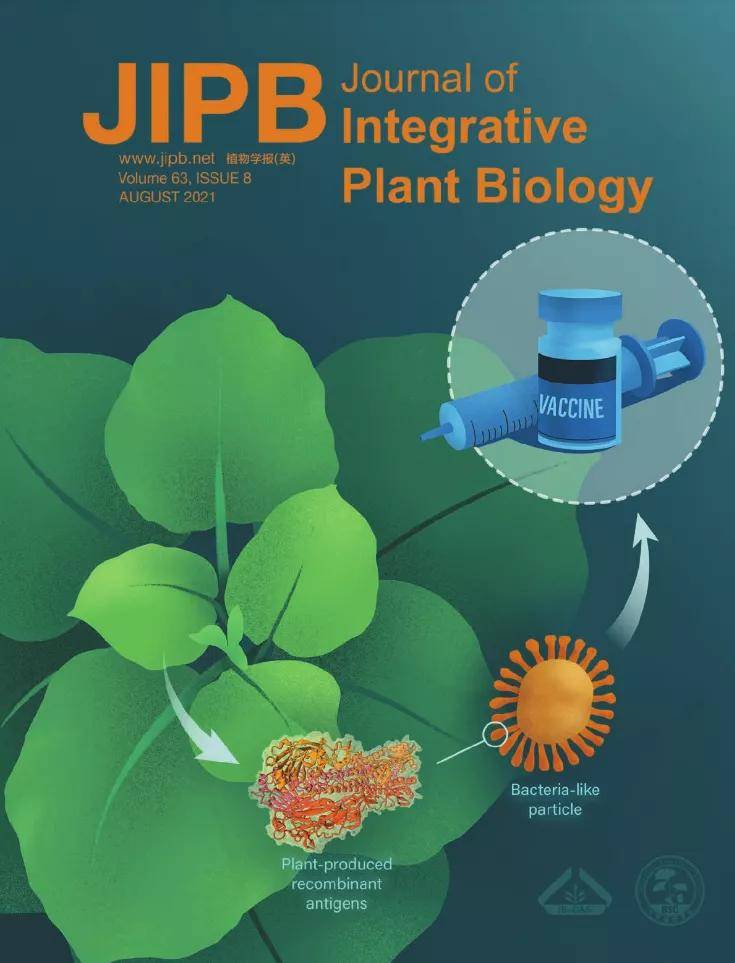 影响因子7分，中科院1区，初审仅19天_期刊_Journal_of