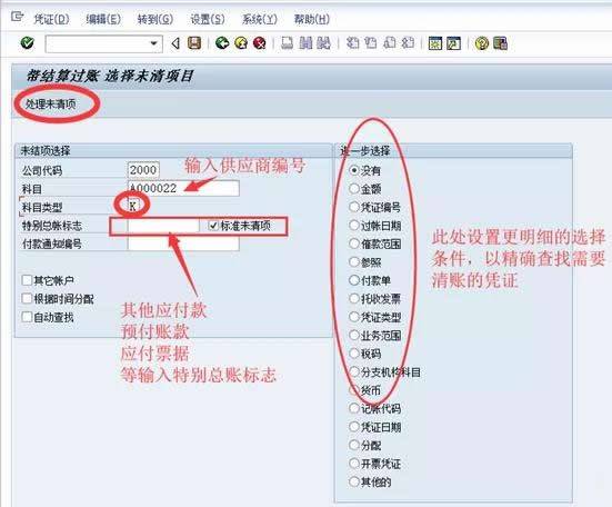 以F-51为例，展示如何在SAP中进行付款清账？_清项_凭证_金额