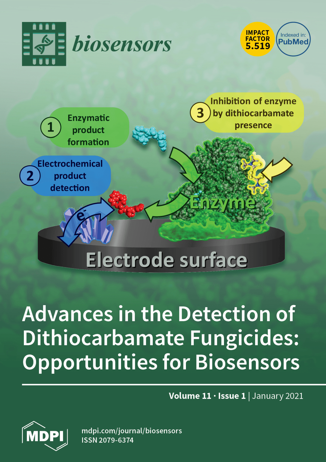 Biosensors：2021年封面文章合集 (上)_分析_细胞_Pablo