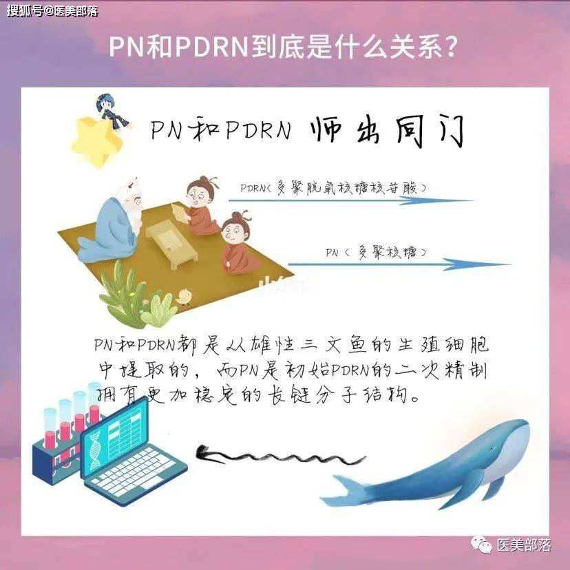 科普 | 关于"三文鱼针"中的PDRN和PN_皮肤_再生_细胞