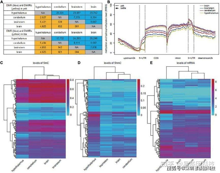 精准DNA甲基化/羟甲基化测序（oxBS-seq）｜易基因技术推介_hmC_oxBS-Seq_分析