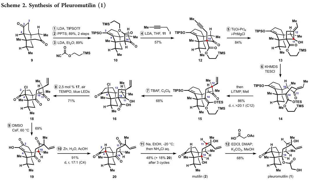JACS：截短侧耳素类抗生素Pleuromutilin的16步全合成_反应_Chem_化合物