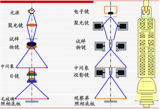 3个角度读懂SEM和TEM区别_手机搜狐网