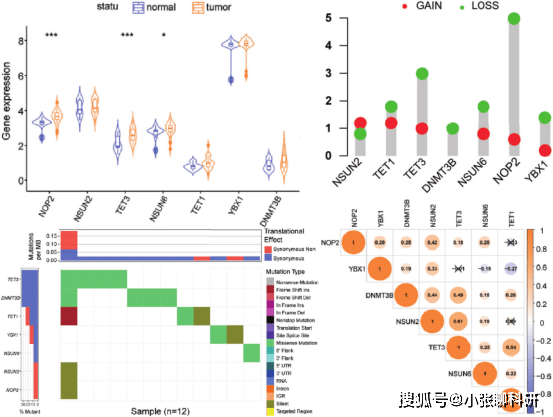 文献详解丨m6a的大兄弟m5C研究思路向你走来_基因_患者_免疫