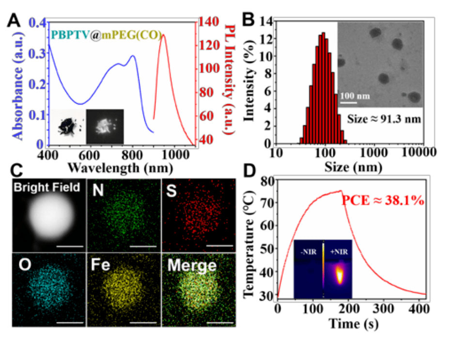 纳米聚合物 | 通过CO促进低温PTT的H2O2响应型NIR-II的AIE纳米炸弹_肿瘤_光热_治疗