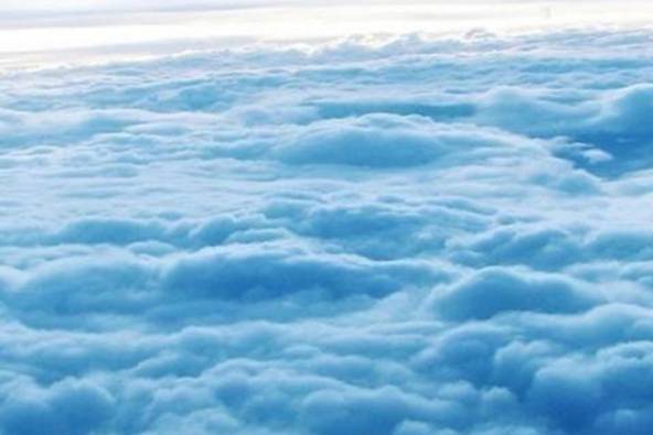 #晋城头条# 陵川7家经营户停业整顿！_防控_疫情_南门