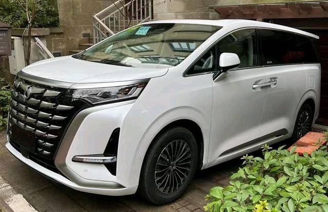 或定名“M80”！WEY牌首款MPV亮相街头，配DHT-PHEV，对标腾势D9_搜狐汽车_搜狐网