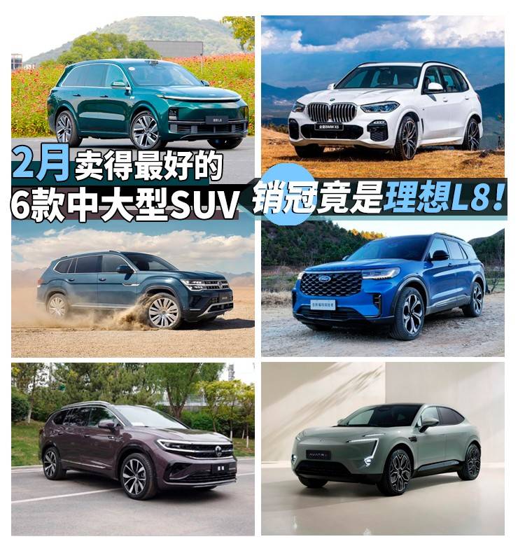 2月卖得最好的6款中大型SUV，销冠竟是理想L8！_搜狐汽车_搜狐网