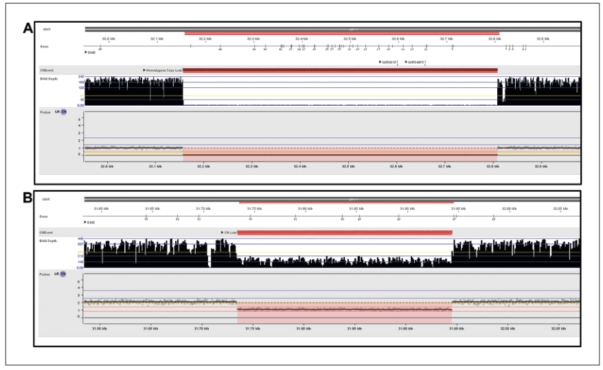【前沿速递】使用基于 NGS 的单次检测对DMD进行分子诊断_分析_变异_基因