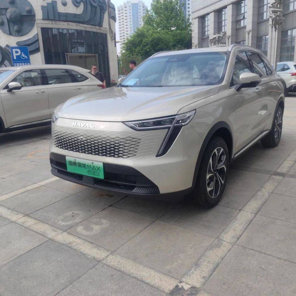 哈弗枭龙/枭龙MAX上市，售价13.98万元起_搜狐汽车_搜狐网
