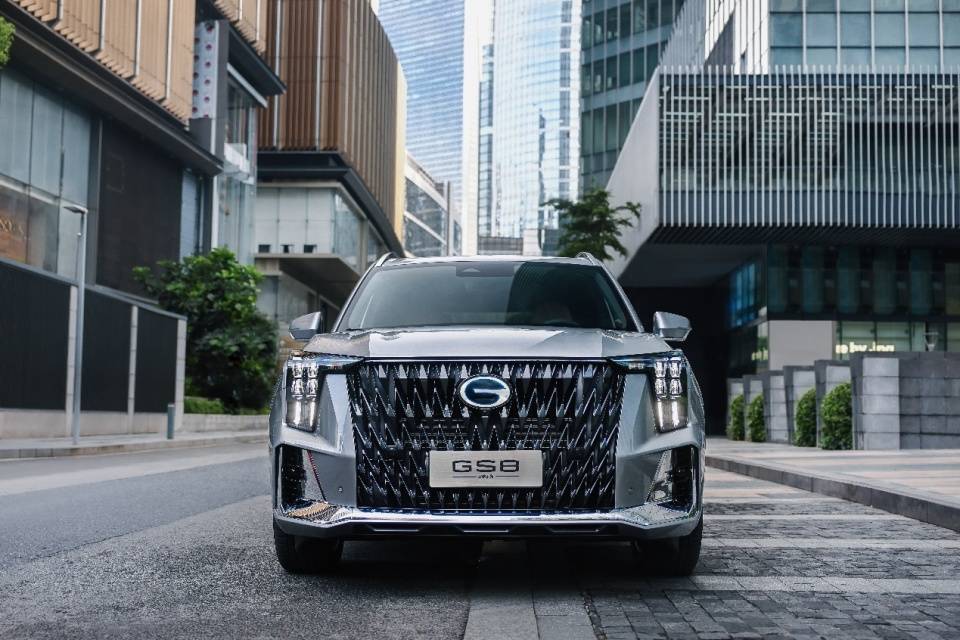 升舱不升价，2024款传祺GS8正式上市！_搜狐汽车_搜狐网