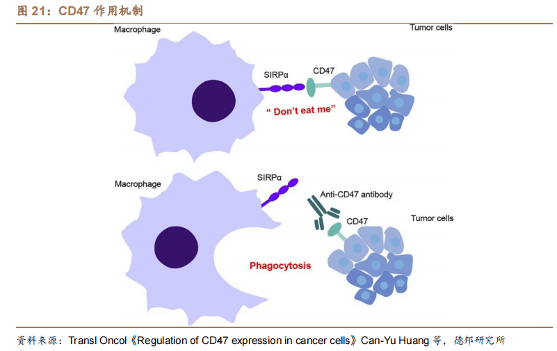 CD47赛道风云：攻克“下一代PD-1”，天境、康方打响逆袭战_抗体_临床_安全性