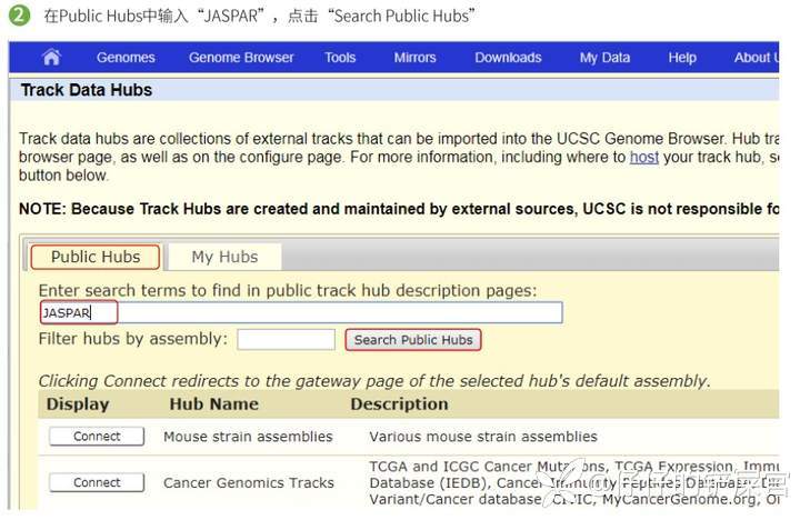 【科研工具包】转录因子预测及优化策略 ——JASPAR、NCBI、UCSC数据库联用_基因_序列_位点