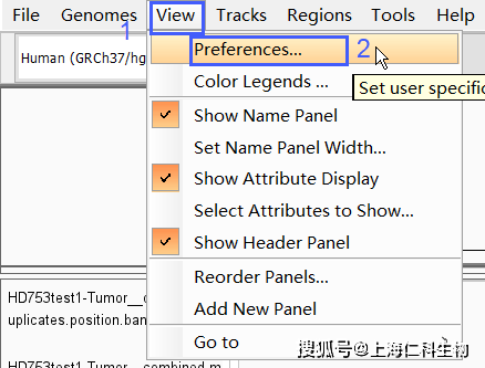IGV快速上手指南（四）——查看基因融合_reads_位置_进行