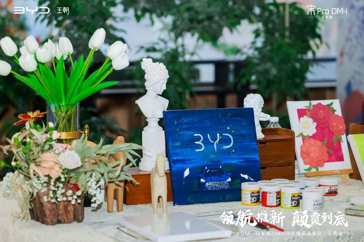 12.98万元，宋Pro DM-i冠军版71km领航型推新共鉴！_搜狐汽车_搜狐网