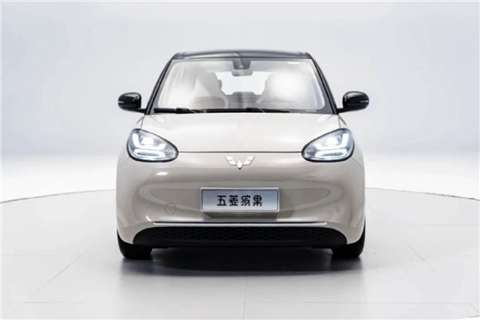 MINIEV坠落，缤果成五菱“全村的希望”？_搜狐汽车_搜狐网