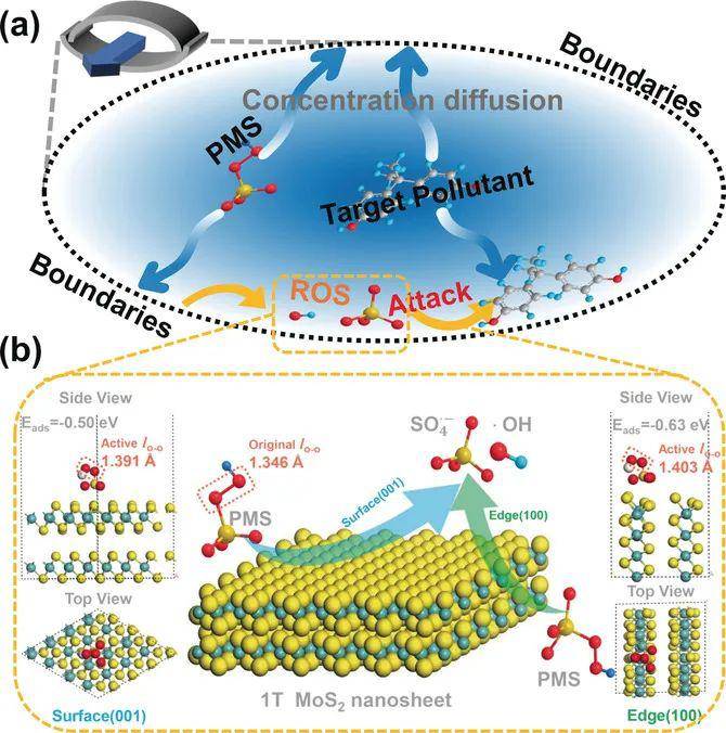 净水技术 | 清华大学环境学院曲久辉院士团队Angew: 限域强化利用自由基主导的快速类芬顿反应_ce-MoS