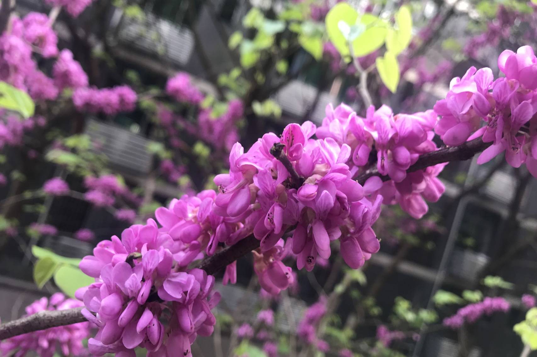 凡事从自己身上找原因,我们进步更快成长缺点自拍