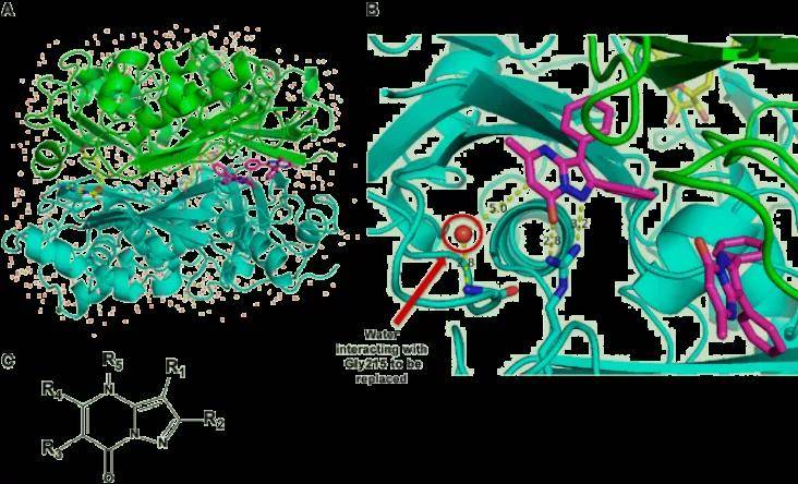 JMC | AG-270: First-in-Class MAT2A小分子抑制剂用于治疗MTAP缺失引起的肿瘤_化合物