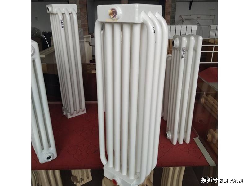 钢制柱型散热器YGH-III/600,弧六柱暖气片图片-搜狐大视野-搜狐新闻